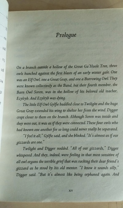 Ecolectura - The first collier