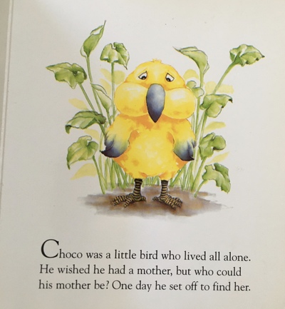 Ecolectura - A mother for choco