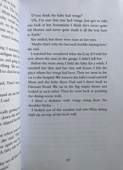 Ecolectura - Skellig : The play