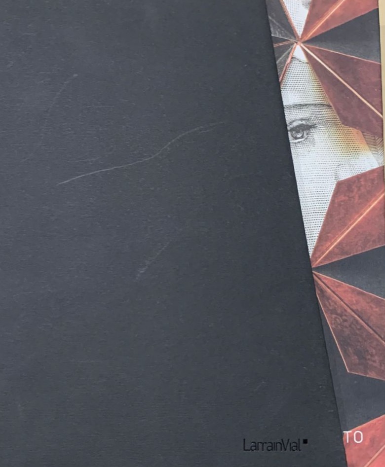 Ecolectura - Libro de arte Francisca Prieto / Tapa dura