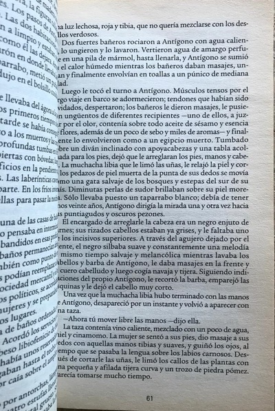 Ecolectura - Anibal