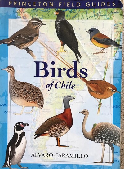 Ecolectura - Birds of Chile