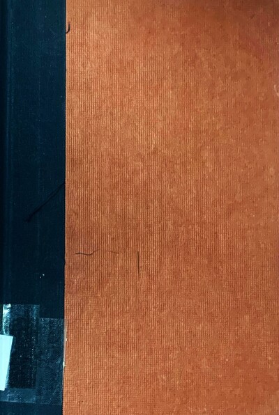 Ecolectura - Home Boy / Tapa Dura