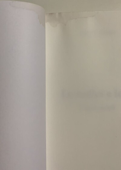 Ecolectura - Le radici e le ali: I miei ricordi