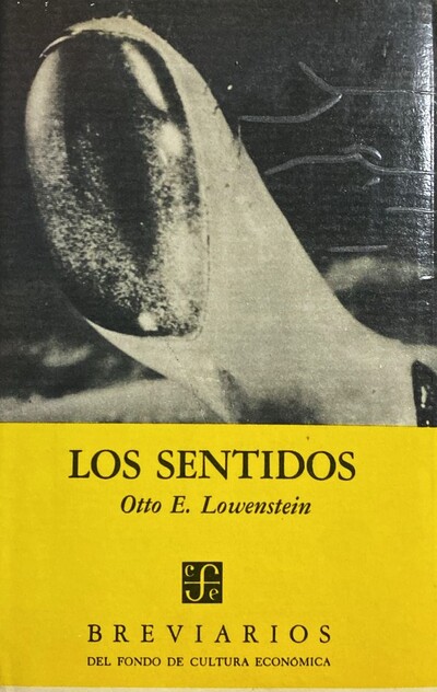 Ecolectura - Los sentidos / Tapa Dura