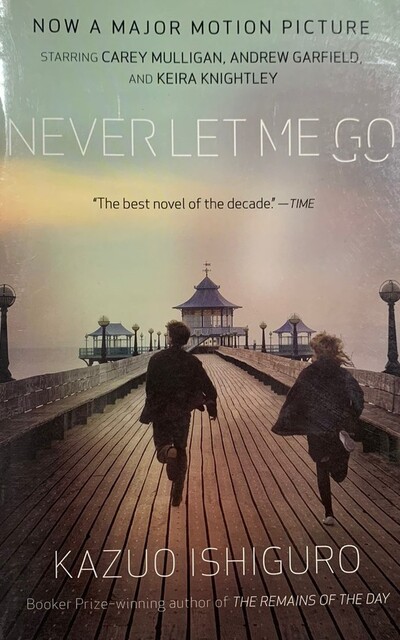 Ecolectura - Never let mego